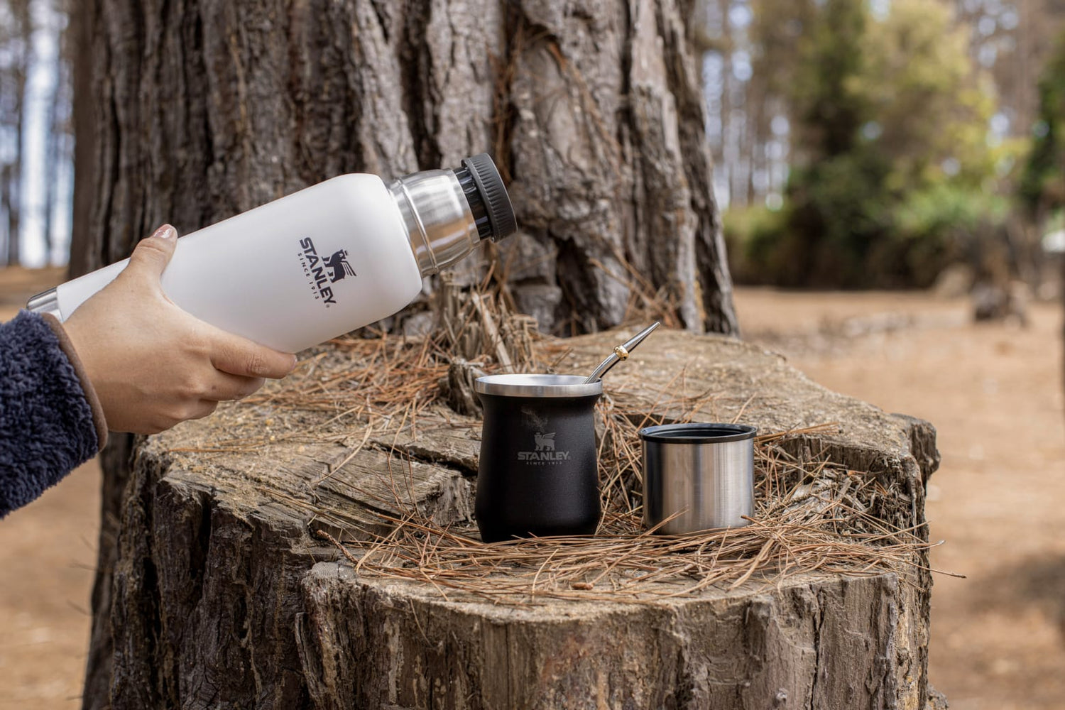 ¿Quieres comenzar a tomar mate y no sabes como partir? Acá te lo conta